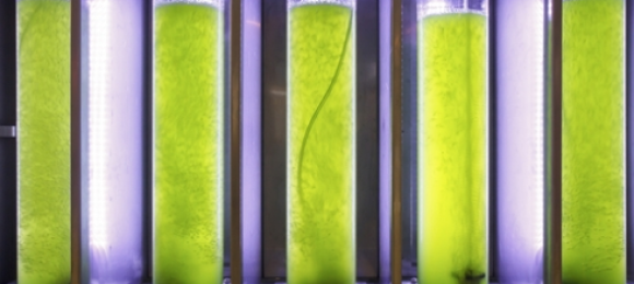 Spotlight on: Biotechnology