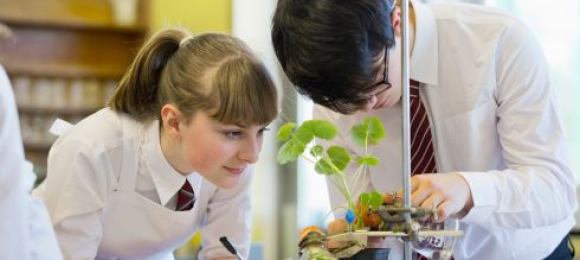 A voice for biology education