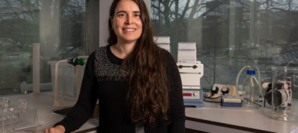 My Lab Unlocked: Hypoxia Researcher Professor Sonia Rocha FRSB