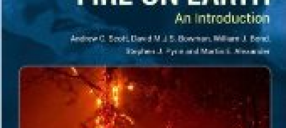 Fire on Earth: An Introduction