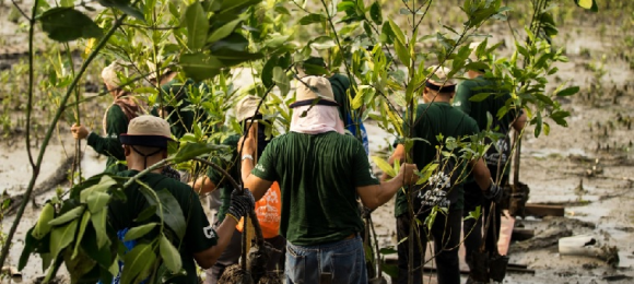 13 ways bioscience is helping fight climate change