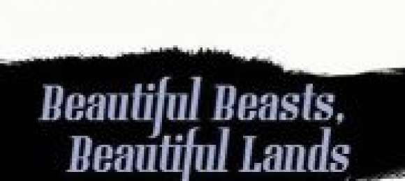 Beautiful Beasts, Beautiful Lands: the Fall and Rise of an African ...