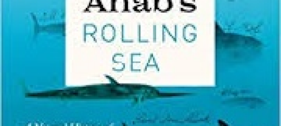Ahabs Rolling Sea A Natural History Of Moby Dick
