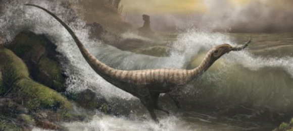 From Evidence to Art