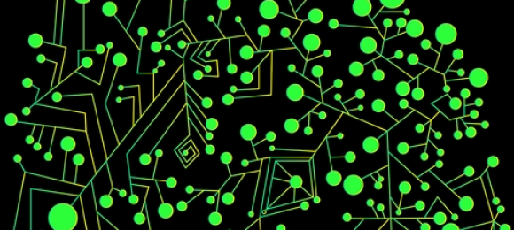 What are 'the laws of biology'?