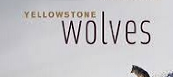 Yellowstone Wolves: Science and Discovery in the World’s First National ...