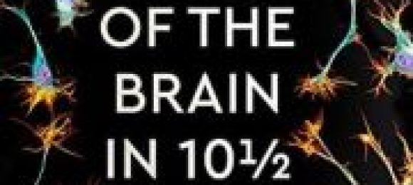 The Story of the Brain in 10½ Cells