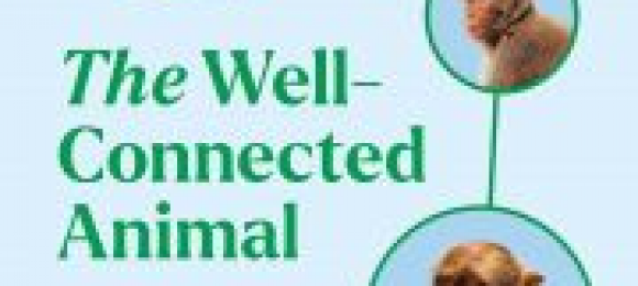 The Well-Connected Animal