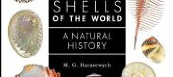 Shells of the World: A Natural History