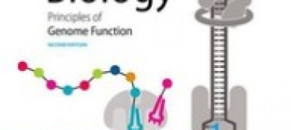 Molecular Biology: Principles of Genome Function (2nd ed)