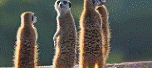 Mathematics for the Life Sciences