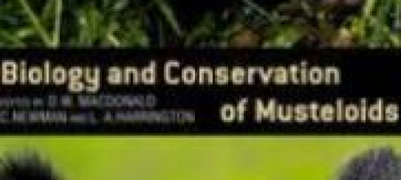 Biology and Conservation of Musteloids