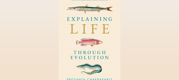 Explaining Life Through Evolution