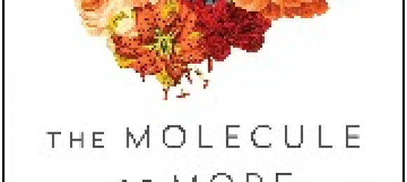 The Molecule of More