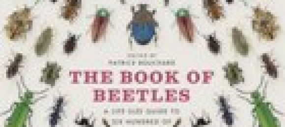 The Book of Beetles