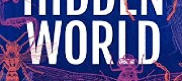 The Hidden World: How insects sustain our life on Earth today and will ...