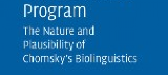 The Minimalist Program: The Nature and Plausibility of Chomsky’s ...