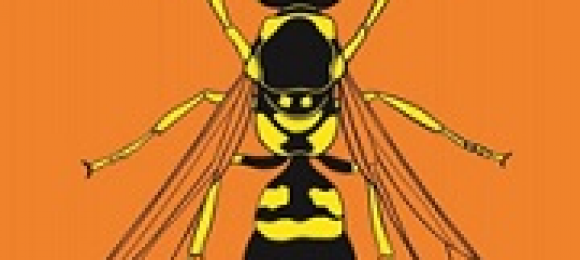 Insectpedia: A Brief Compendium of Insect Lore