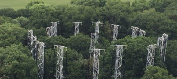 Time travelling trees