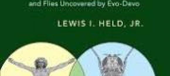 Deep Homology? Uncanny Similarities of Humans and Flies Uncovered by ...